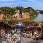 Leshan Buddha + Panda Base or Old Tea House Private Day Tour - What Makes This Tour Stand Out?