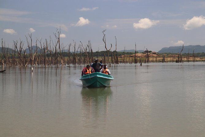 Live among swimming elephants and indigenous tribes  Gal Oya National Park - Authentic Encounters and Surprising Details