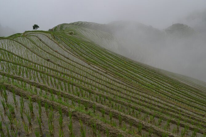 Longji Dazhai Rice Terraces Day Tour Cable Car Adventure - Things to Keep in Mind