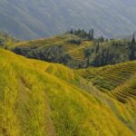 Longji Rice Terraces Hiking Tour Full Day Adventure - Exploring the Itinerary