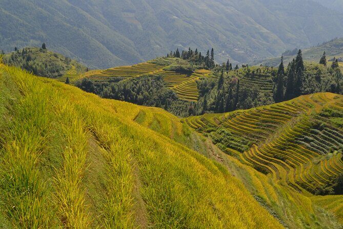 Longji Rice Terraces Hiking Tour Full Day Adventure - Exploring the Itinerary