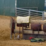 Longreach: Australian Stockman Museum's Immersive Tour - Who Will Love This Tour?