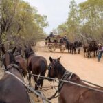 Longreach: Ride on a historic stagecoach on a bush track - Introduction: Why this stagecoach ride stands out