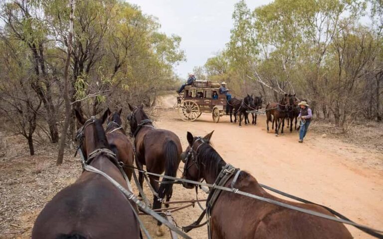 Longreach: Ride on a historic stagecoach on a bush track - Introduction: Why this stagecoach ride stands out