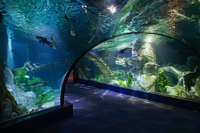 Lotte World Aquarium Hanoi Admission Ticket - Final Thoughts
