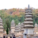 Luoyang: Shaolin Temple & Longmen Grottoes Private Day Tour - Lunch at Dengfeng: Local Flavors and Choices