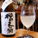 Luxury Kyoto Evening Sake Experience - The Sum Up