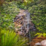 Luxury Small Group of 5 Blue Mountains Escape Tour - What’s Included and What to Know