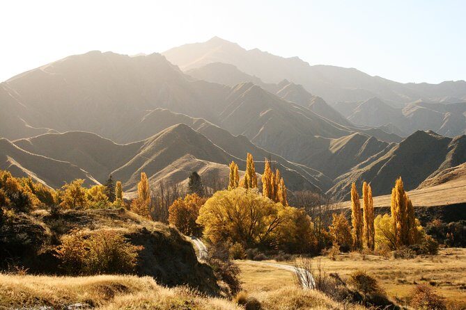 Macetown 4WD Adventure  Full Day Guided Tour from Queenstown - Why This Tour Is Worth It