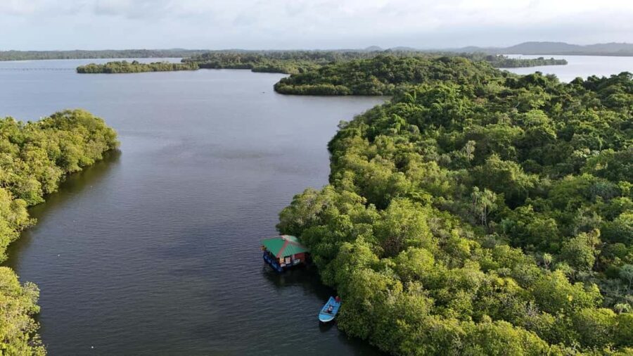 Madu River Boat Cruise & Cinnamon Garden All Inclusive Tour - What Travelers Say: Authentic Feedback