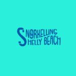 Manly Beach Guided Snorkeling Tours - What to Expect: A Step-by-Step Breakdown