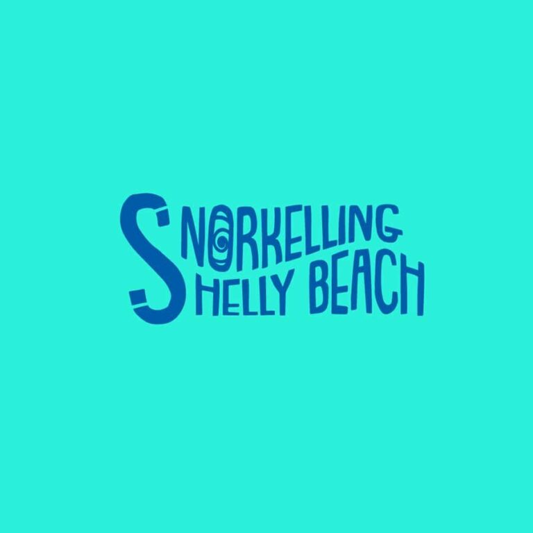 Manly Beach Guided Snorkeling Tours