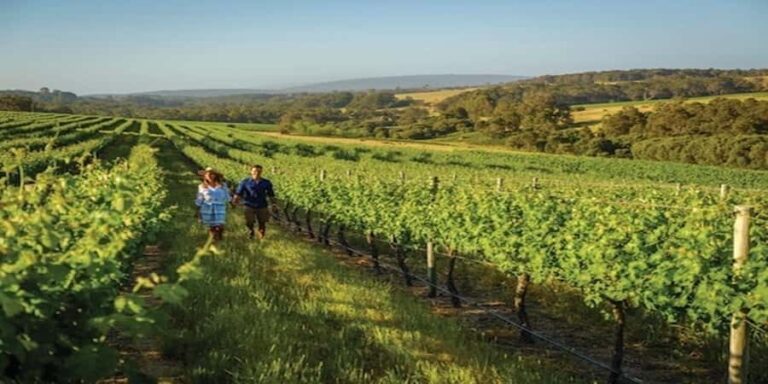 Margaret River Private Day Tour from Perth - The Itinerary: Scenic, Tasty, and Iconic Spots