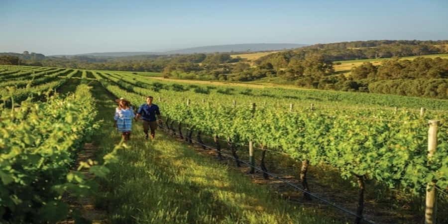 Margaret River Private Day Tour from Perth - The Itinerary: Scenic, Tasty, and Iconic Spots