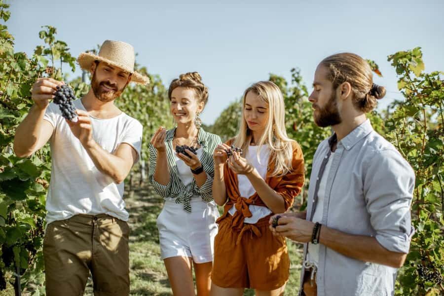 Margaret Rivers Wine & Chocolate Odyssey: Private Tour - Detailed Breakdown of the Itinerary