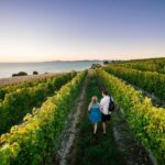 Marlborough Wine Tour: Including Cloudy Bay and Lunch - Who Will Love This Tour?