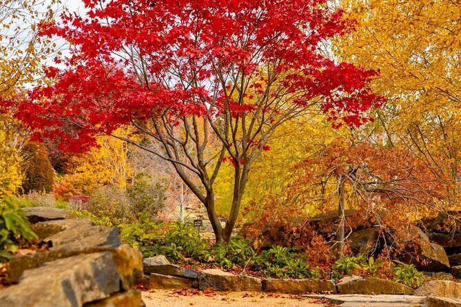 Mayfield Gardens Autumn Tour from Sydney with Echo Point Stop - Who Should Consider This Tour?