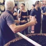 McLaren Vale Private Wine Tour - The Bottom Line: Who Is This Tour Best For?