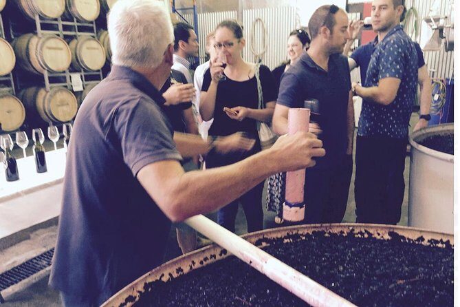 McLaren Vale Private Wine Tour - The Bottom Line: Who Is This Tour Best For?