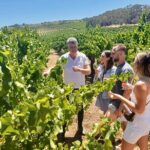 McLaren Vale Small Group Wine Tour inc d'Arenberg Cube & lunch - The Practical Side