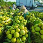 Mekong River 1 Day Group Tour - Cultural Stops and Local Delights
