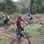 Melbourne: 1-Day Mountain Biking Adventure with Lunch - What to Expect During Your Day