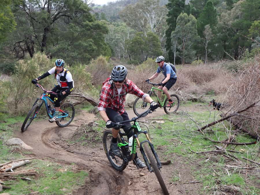 Melbourne: 1-Day Mountain Biking Adventure with Lunch - What to Expect During Your Day