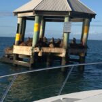 Melbourne: A Private Day Tour on a Sports Yacht on the Bay - Practical Details: What to Expect