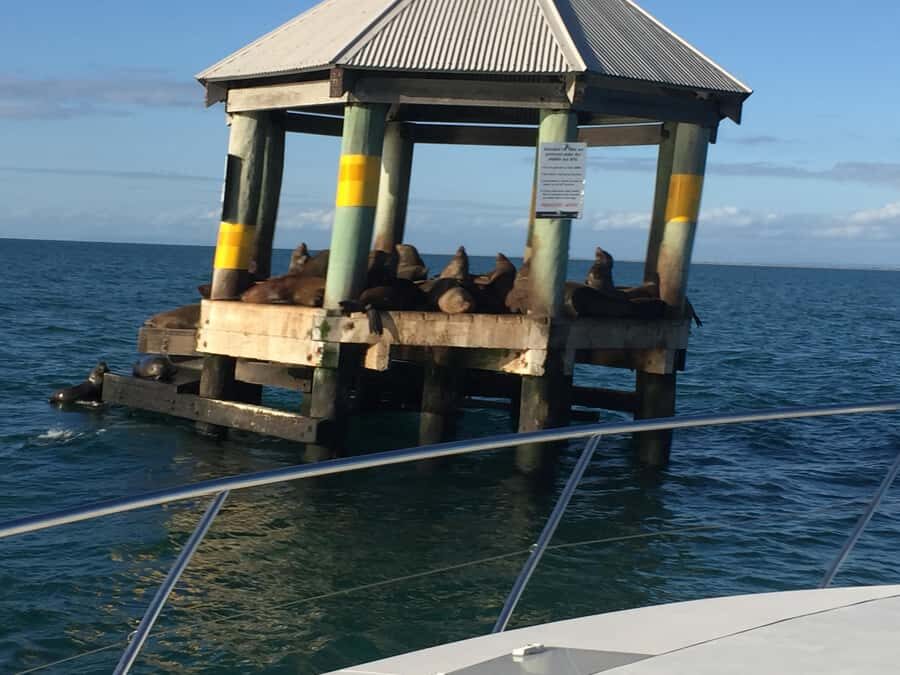 Melbourne: A Private Day Tour on a Sports Yacht on the Bay - Practical Details: What to Expect