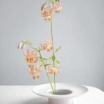 Melbourne CBD: Japanese Ikebana Flower Arrangement Workshop - What the Workshop Entails