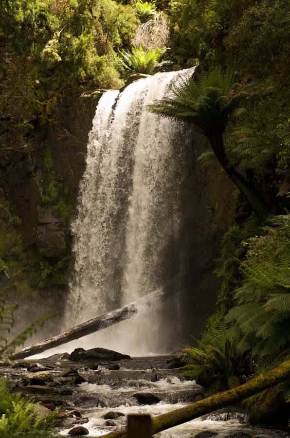 Melbourne: Great Ocean Road Limo Tour with Hotel Pickup - FAQs