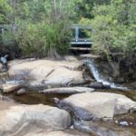 Melbourne: Marysville Day Trip with Healesville Sanctuary - Value and Practical Considerations