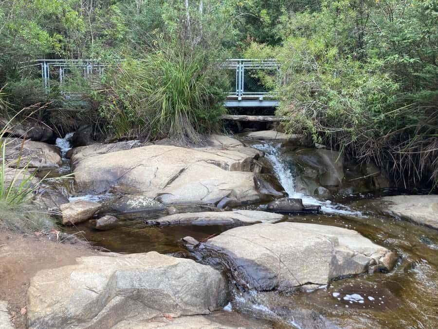 Melbourne: Marysville Day Trip with Healesville Sanctuary - Value and Practical Considerations