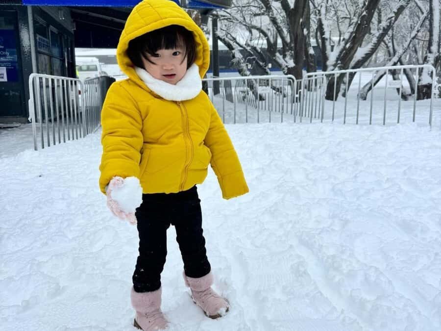 Melbourne: Mt Buller Day Trip with Yarra Valley Chocolaterie - Practicalities and Considerations