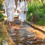 Melbourne: Peninsula Hot Springs with Lunch and Wine - Why This Tour Works Well
