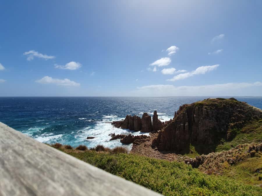 Melbourne: Phillip Island Penguins, Koalas & Hike Tour - Value and Practicalities