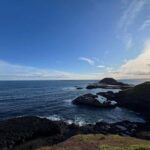 Melbourne: Phillip Island Private Tour, Penguin and Koala - The Practicalities: What You Need to Know