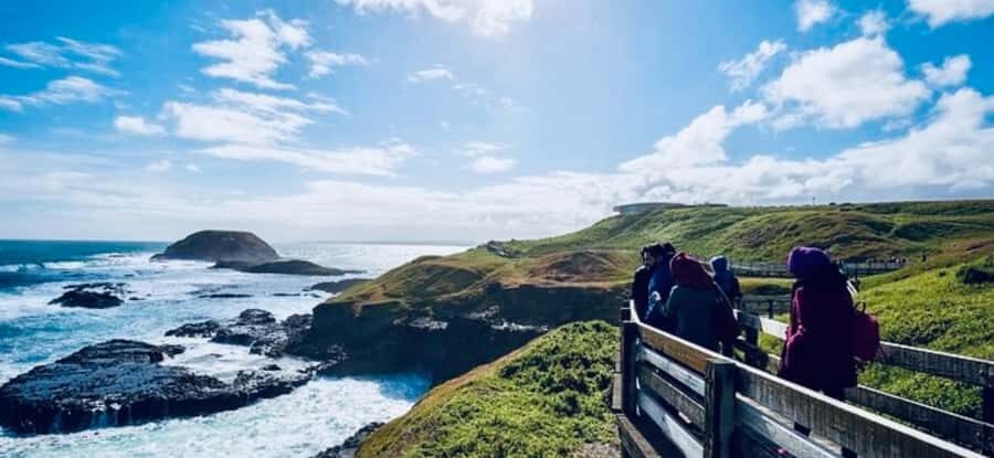 Melbourne: Phillip Island Private Tour with Penguin Parade - How the Tour Compares and What It Offers for Value