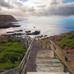 Melbourne: Phillip Island Tour with Koalas & Penguins - The Nobbies: Rugged Coastlines and Seal Colonies