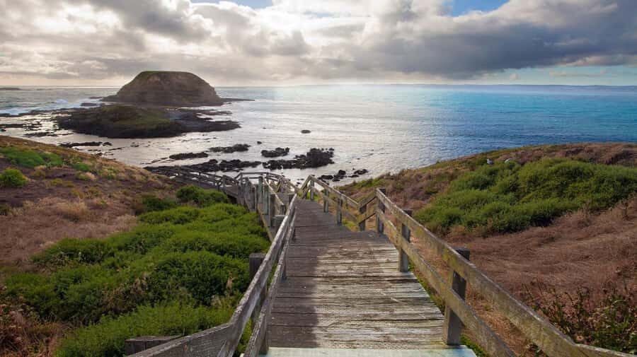 Melbourne: Phillip Island Tour with Koalas & Penguins - The Nobbies: Rugged Coastlines and Seal Colonies