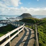 Melbourne: Puffing Billy Train & Penguin Parade Adventure - What the Reviews Say