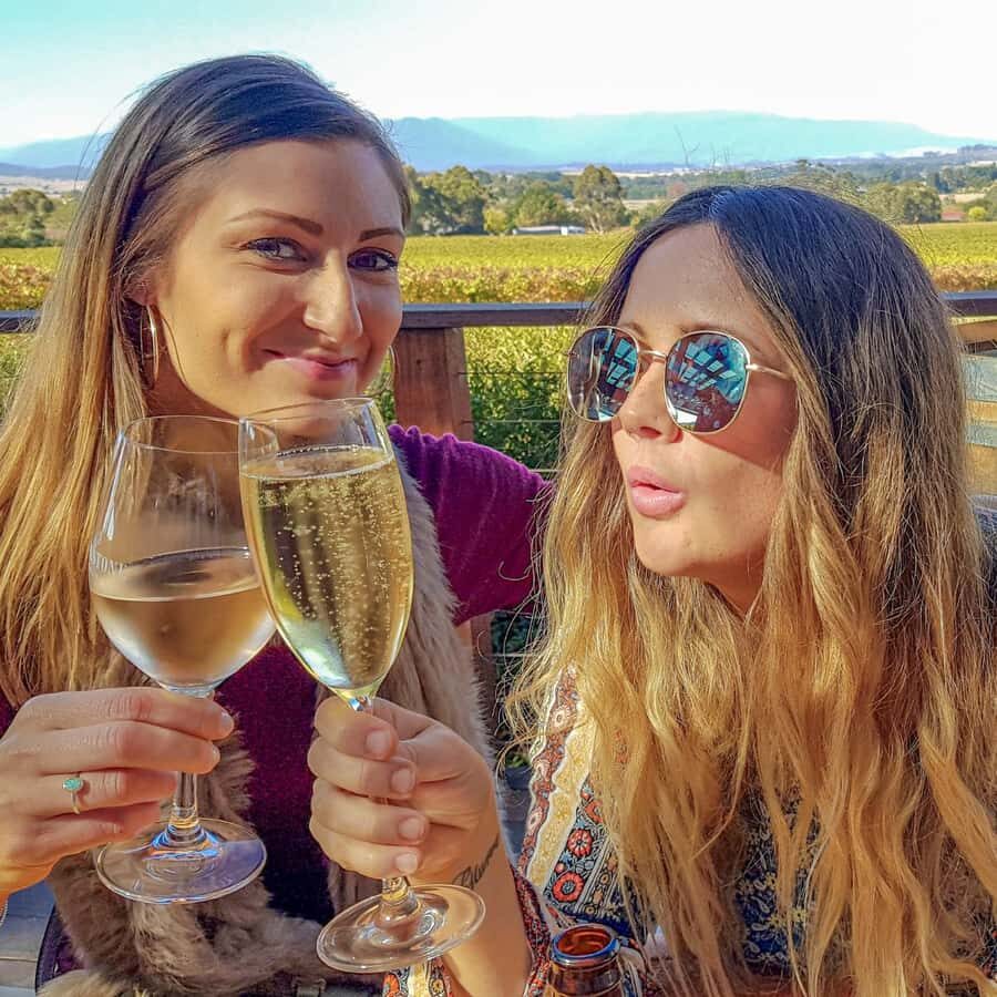 Melbourne: Relaxed Half-Day Yarra Valley Wine Tour - The Experience: What to Expect from This Yarra Valley Tour