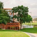 Melbourne: Yarra Valley Wine & Cherry Picking Day Trip - The Practicalities and Realities