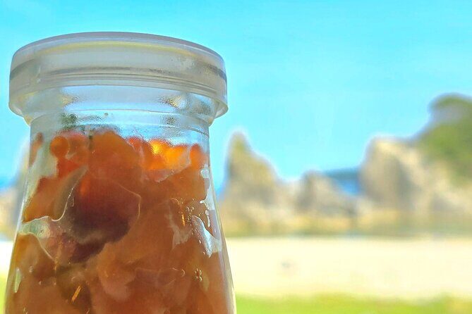 Michinoku Coastal Trail Activity Miyako Sea Kayak and Local Lunch - Who Will Love This Tour?