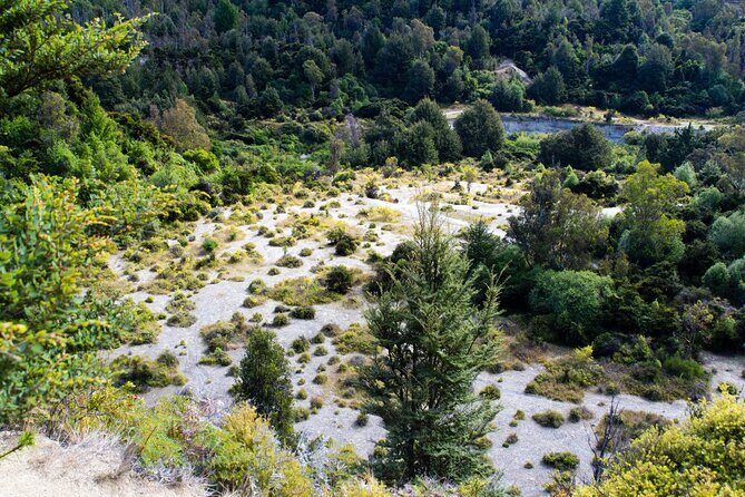Middle Earth Mountains Private Tour Lord of the Rings Sites - Paradise Valley: Nature’s Cinematic Stage