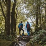 Milford Sound Nature Cruise and Self-Guided Scenic Track Walk - Analyzing the Value