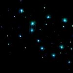 Milkyway Glowworm Cave Tour from Auckland Port - Practical Tips