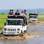 Minneriya National Park halfday Safari - The Experience: What Makes it Special