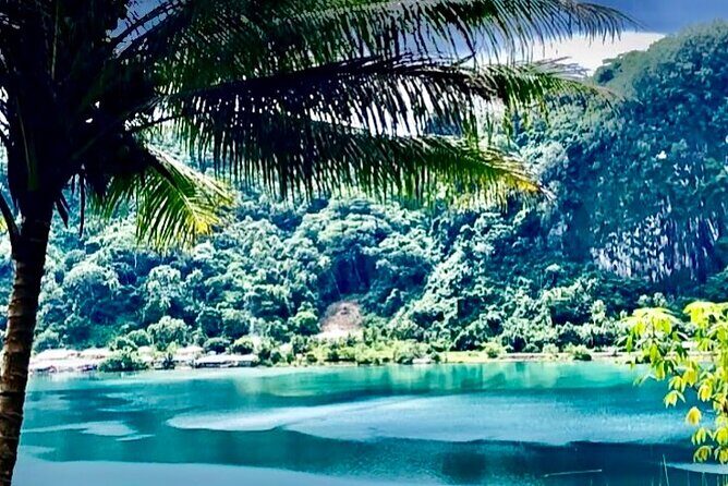 Mirimiri Tours - Authentic Insights and Traveler Perspective