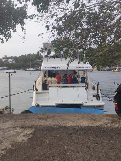 Mirissa: Sunset Whale Watching Boat Tour with Music - The Itinerary in Detail